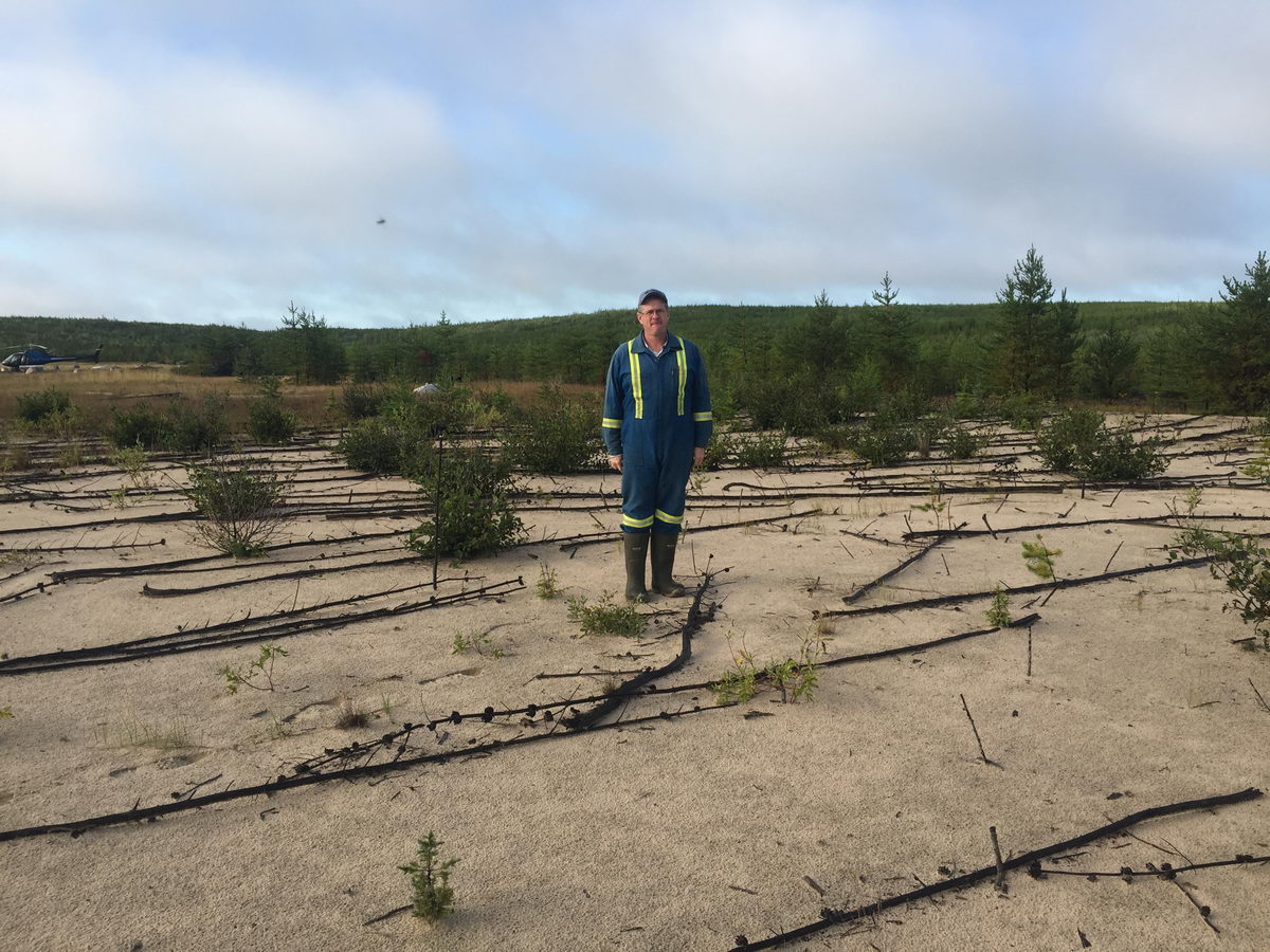 Semi-Arid Boreal Forest Reclamation - Saskatchewan, Canada
